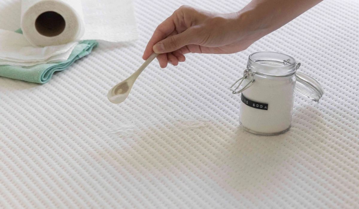 How to Get Rid of Cobwebs?